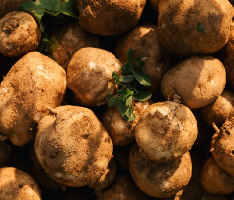 Chipping Potatoes - E. K. Bare & Sons, Inc.