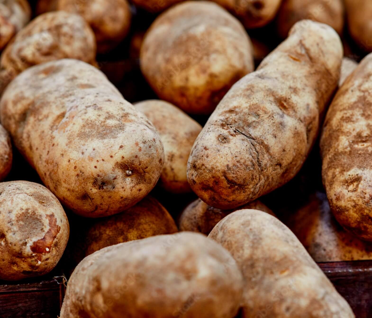 Russet Potatoes - E. K. Bare & Sons, Inc.